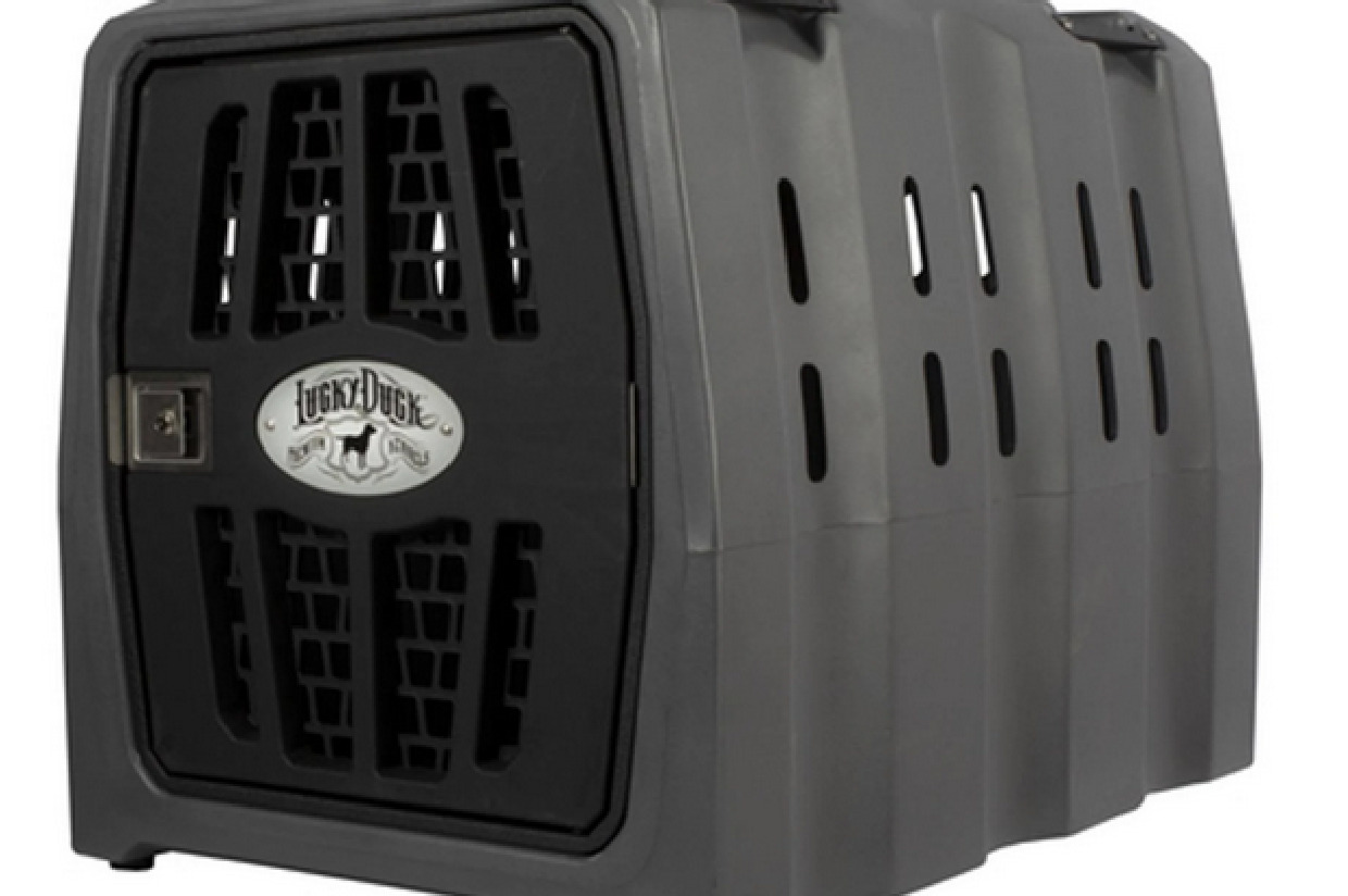 Lucky Duck Premium Kennel | 2025 Spring Grand - Wisill HRC | Hunting ...