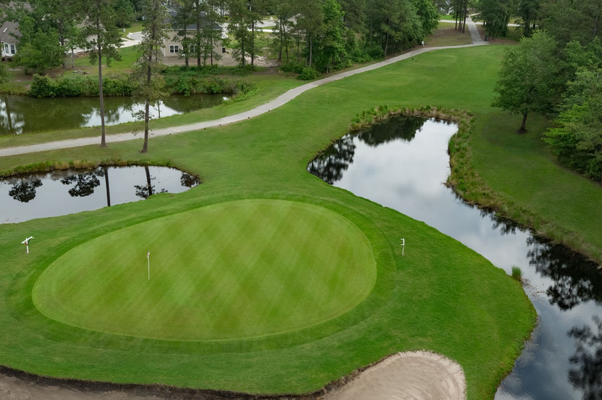 Diamondback - 2 Golfers | February 2025 Project Golf Auction | Project ...