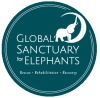 Global Sanctuary for Elephants on BetterWorld