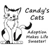 Candy's Cats Inc. on BetterWorld