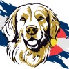 Golden Retriever Freedom Rescue on BetterWorld
