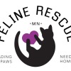 Feline Rescue on BetterWorld