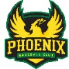 Phoenix Baseball Club @phxbaseballclub on BetterWorld