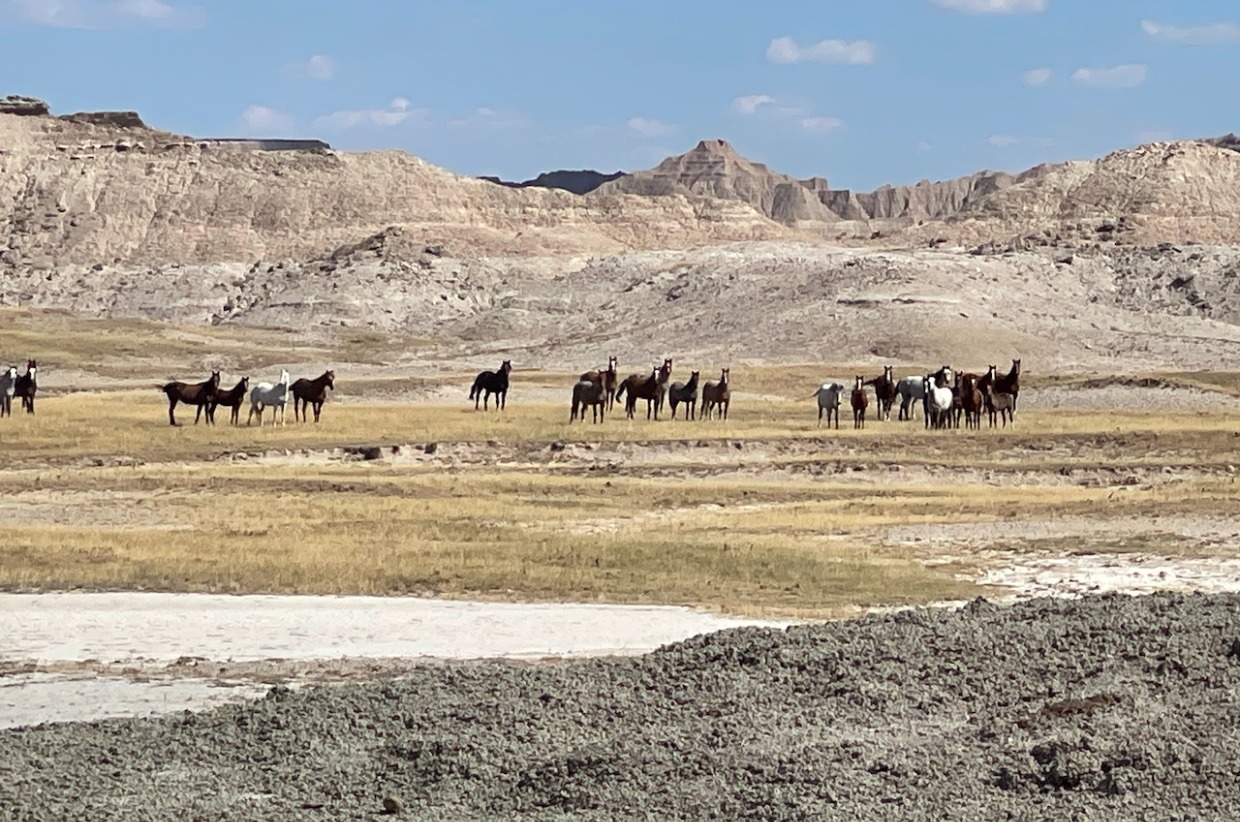 TC Sheridan - Black Hills 2025 supporting Rally for Rangers | BetterWorld