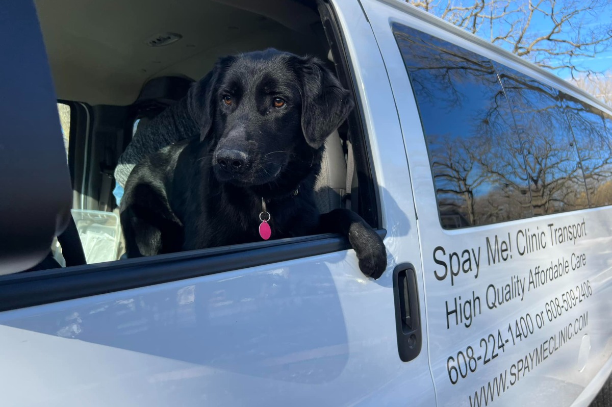 SFTS Transport Van Fundraising Contest supporting Shelter From the ...