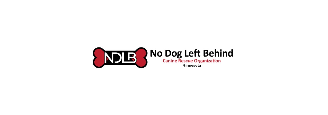 No Dog Left Behind on BetterWorld