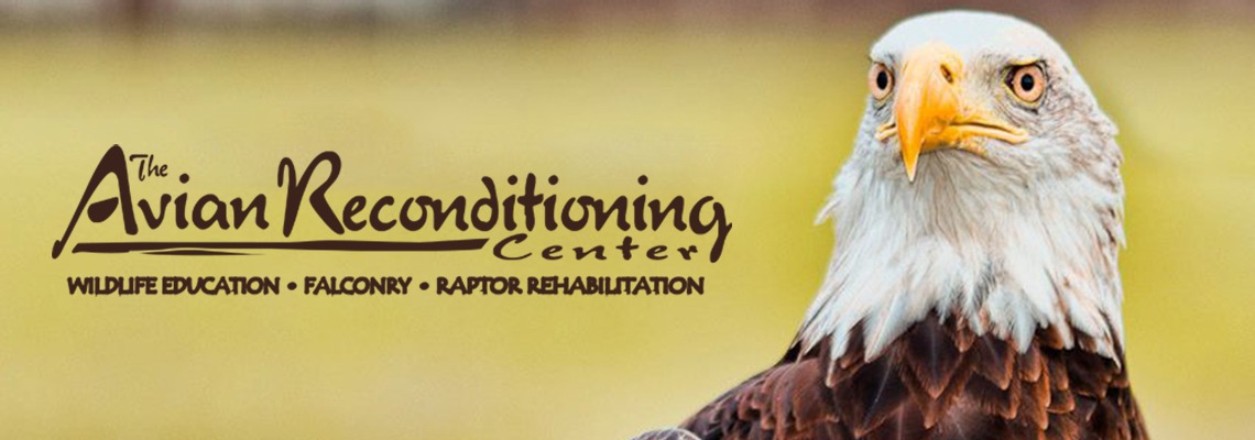 The Avian Reconditioning Center on BetterWorld