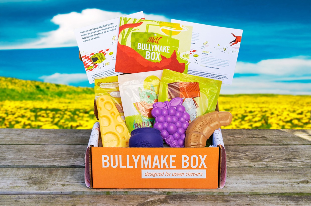 BULLYMAKE Box 3-Month Subscription - $108 Value - 1 Winner giveaway ...