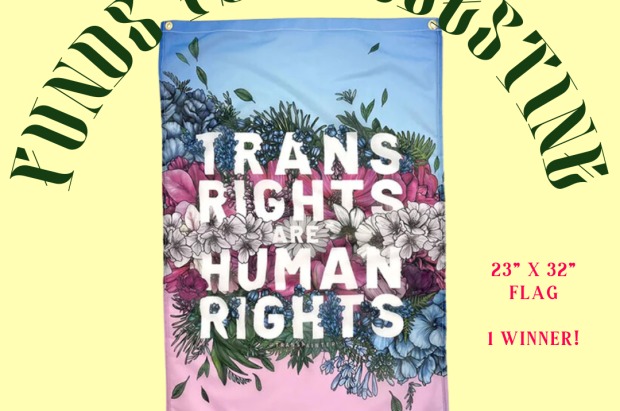 TRANS RIGHTS ARE HUMAN RIGHTS FLAG FROM @TRANSPAINTER giveaway ...