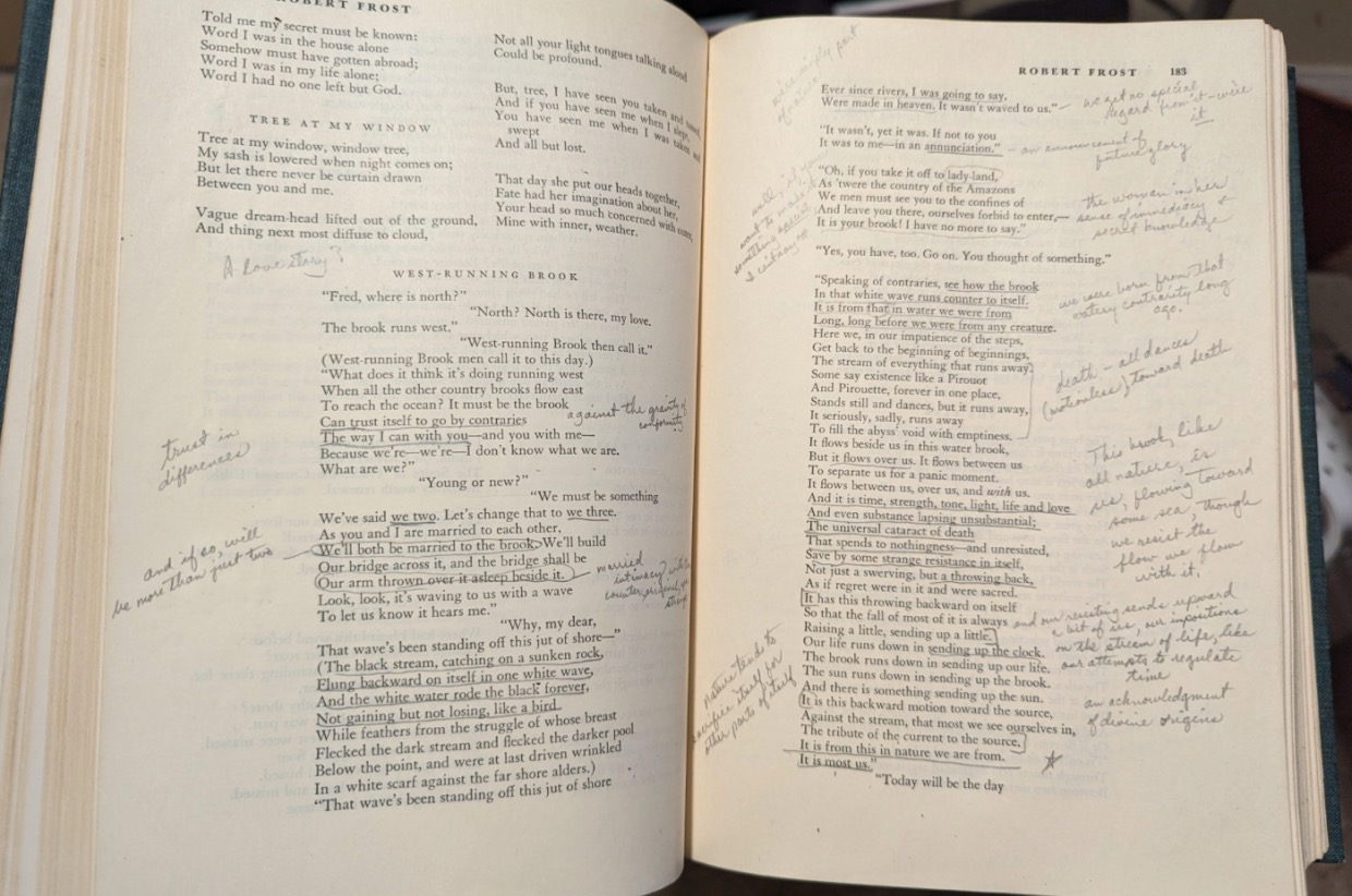 A raffle: Steven's annotated copy of Modern British Poetry giveaway ...